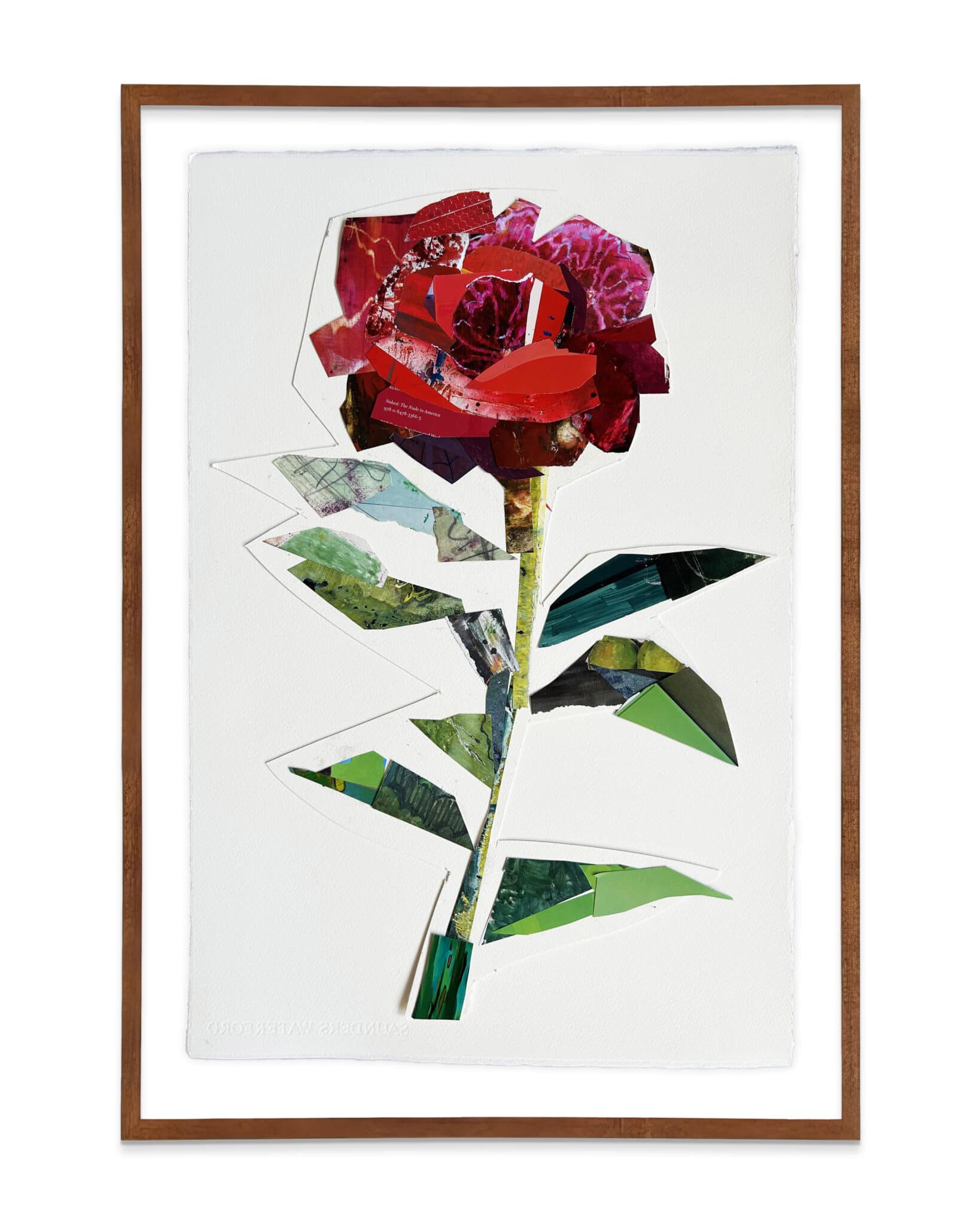 ANDREW SALGADO - 2024